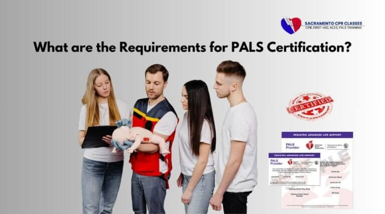 What are the Requirements for PALS certification?